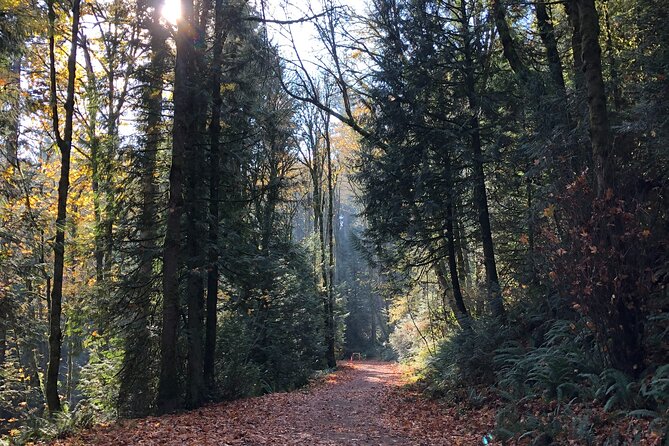 Forest Park Carbon Gravel Bike and E-Bike Tour - Who Should Consider This Tour?