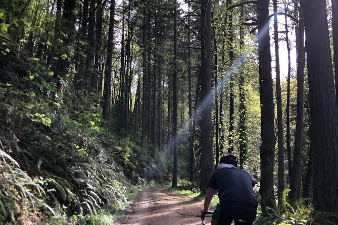 Forest Park Carbon Gravel Bike and E-Bike Tour - The Sum Up