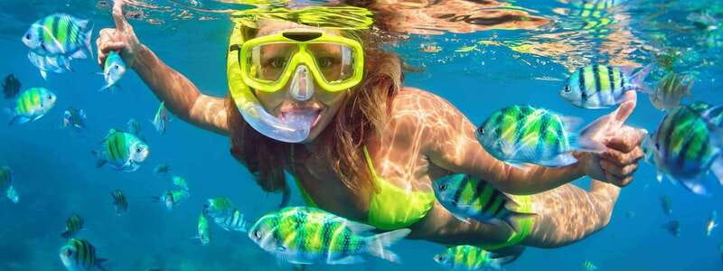 Fort Walton: Dolphin Discovery and Snorkeling Cruise