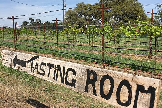 Fredericksburg Hill Country Aficionado Wine Tour from San Antonio