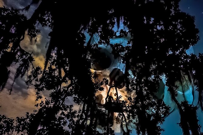 French Quarter True Crime Walking Tour - Value and Experience