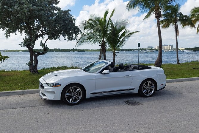 French tour of Miami in convertible mustang - Key Points