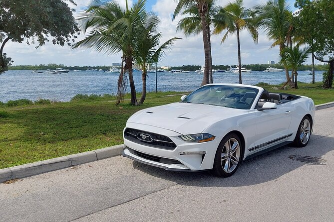 French tour of Miami in convertible mustang - The Experience: A Detailed Look at the Itinerary