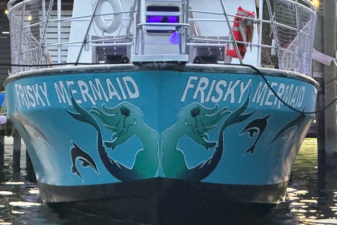 Frisky Mermaid Public Dolphin + Sightseeing Cruise Up to 49 Pax
