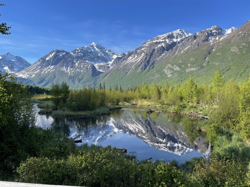From Anchorage: Valley and Forest Hike with Naturalist Guide