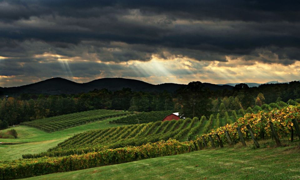 From Atlanta: North Georgia Wine Country Tour