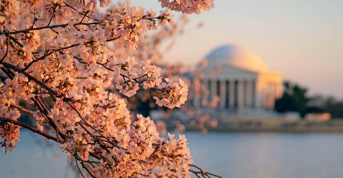 From Boston: 4-Day Tour to New York, D.C.&Niagara Falls - In-Depth Look at the Itinerary