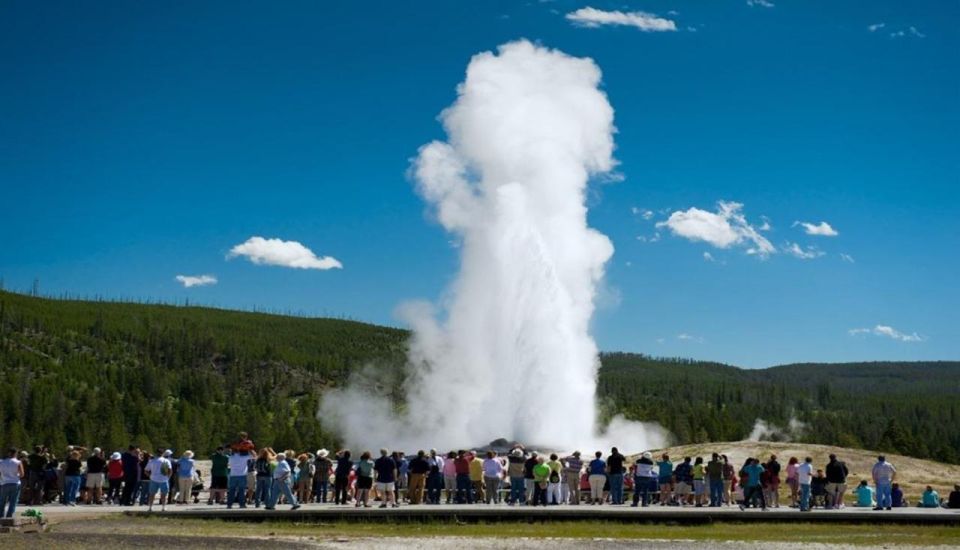 From Bozeman: Yellowstone Day Tour (Lower Loop) - Key Points