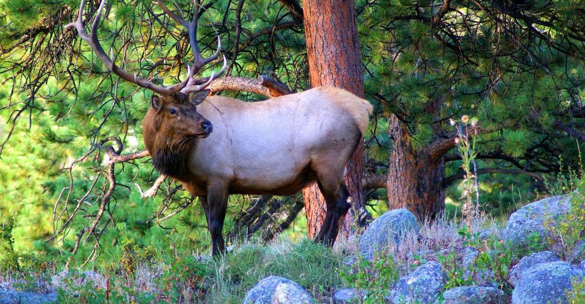 From Denver: Hike the Rockies Tour - Practical Tips for the Hike