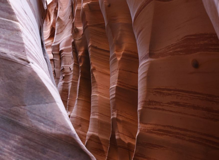 From Escalante: Zebra Slot Canyon Guided Tour and Hike - Who Should Consider This Tour?