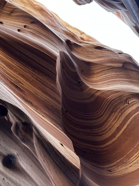 From Escalante: Zebra Slot Canyon Guided Tour and Hike - The Sum Up