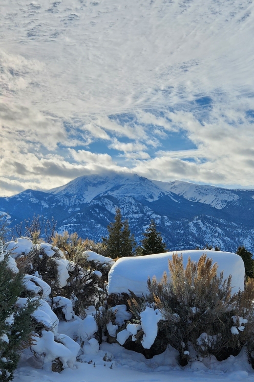 From Gardiner: Yellowstone National Park Snowshoe Tour - Value and Overall Experience