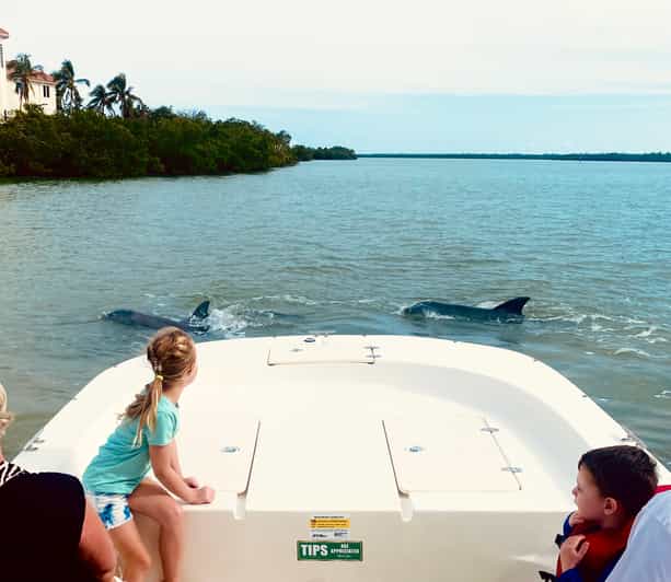 From Goodland: Private Shelling and Dolphin Watching Cruise