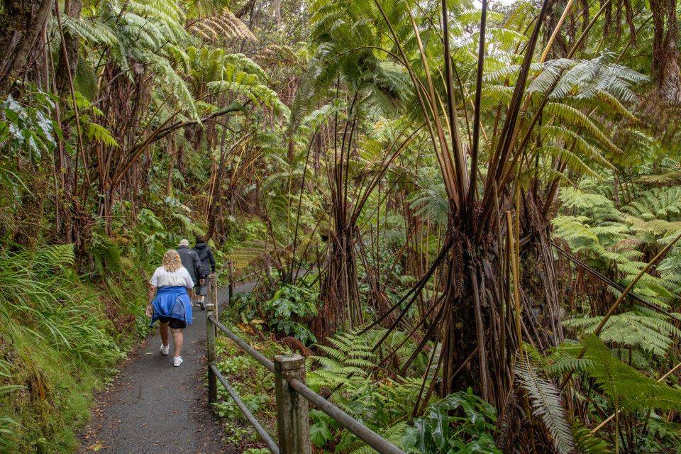 From Kailua-Kona: All-Inclusive Volcanoes National Park Tour - FAQ
