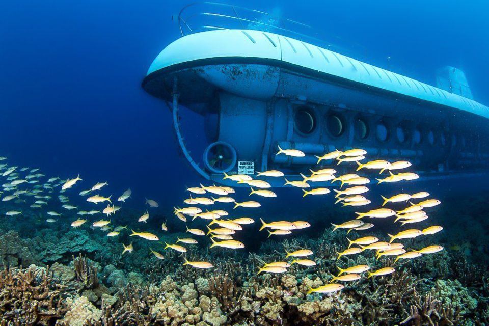 From Kona: Big Island Underwater Submarine Adventure - What to Expect: A Detailed Breakdown