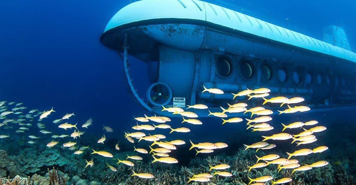 From Kona: Big Island Underwater Submarine Adventure - What Could Be Better?