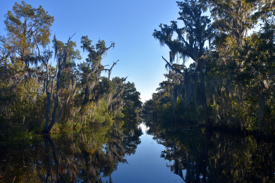 From Lafitte: Swamp Tours South of New Orleans by Airboat - What to Bring & Wear