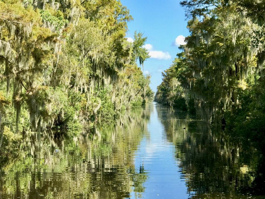 From Lafitte: Swamp Tours South of New Orleans by Airboat - Authentic Experiences and Reviewer Insights