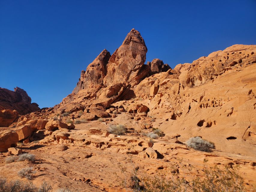 From Las Vegas: Valley of Fire Small Group Tour - An In-Depth Look at the Valley of Fire Small Group Tour