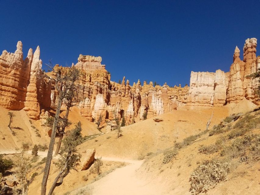 From Las Vegas: Zion and Bryce Canyon Guided Day Tour - From Las Vegas: Zion and Bryce Canyon Guided Day Tour – A Detailed Review
