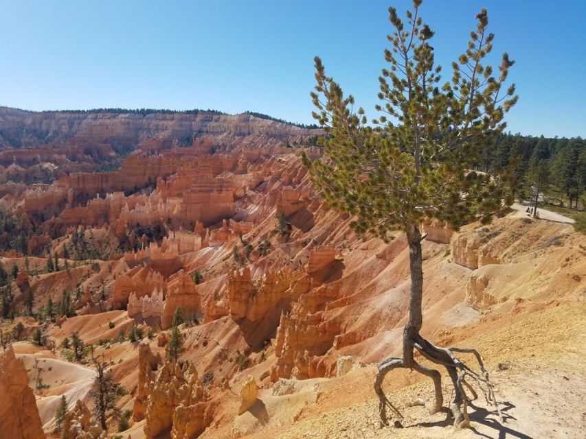 From Las Vegas: Zion and Bryce Canyon Guided Day Tour - The Small Group Advantage