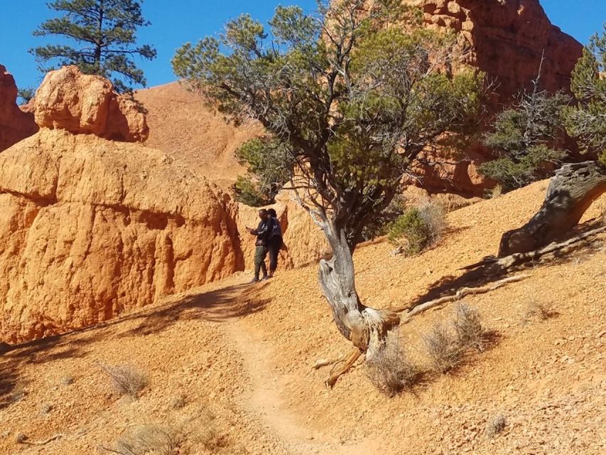 From Las Vegas: Zion and Bryce Canyon Guided Day Tour - FAQs