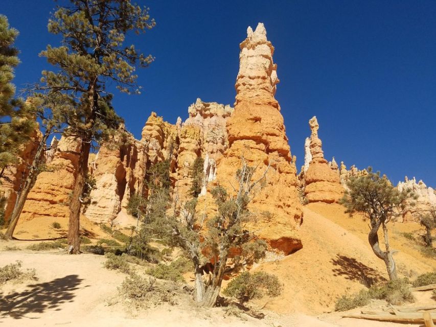 From Las Vegas: Zion and Bryce Canyon Guided Day Tour - Final thoughts