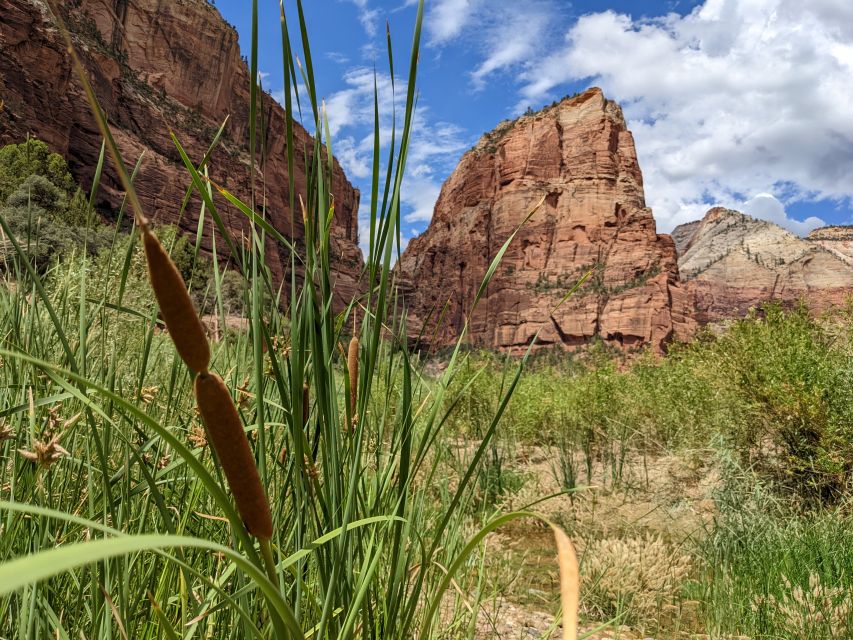 From Las Vegas: Zion National Park Small Group Adventure - Who Would Love This Tour