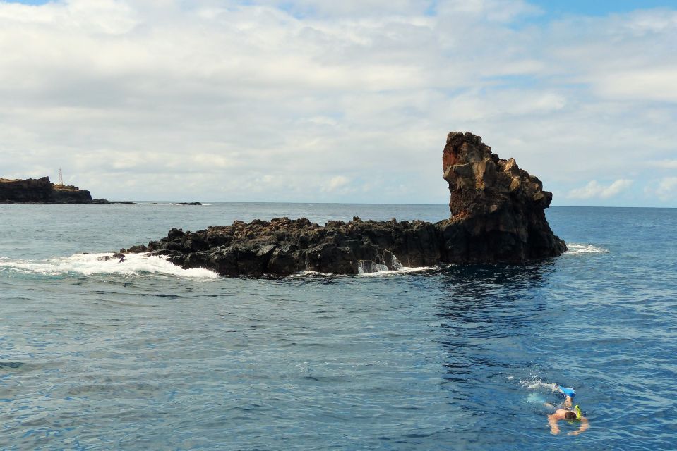From Ma'alaea: AM Turtle Town Snorkel Aboard Quicksilver - Who Is This Tour Best For?  