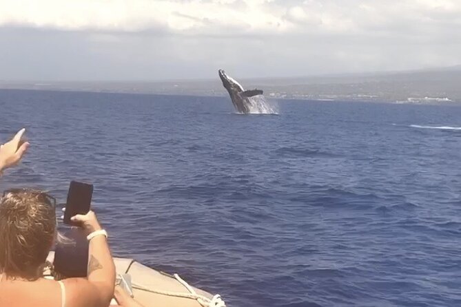 From Maalaea Harbor: Whale Watching Tours Aboard Winona Catamaran
