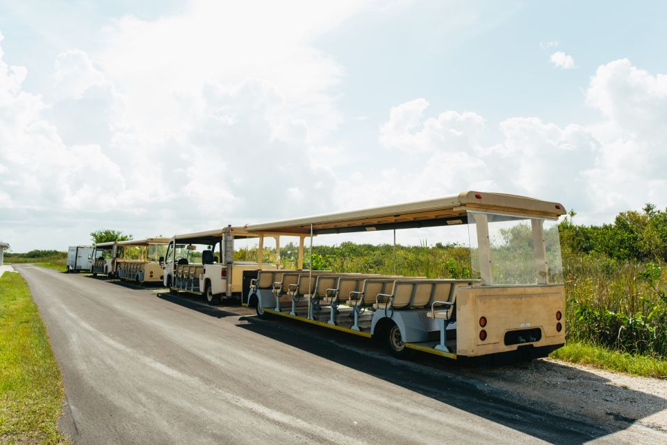 From Miami: Everglades Airboat Ride and Nature Walk - An In-Depth Look at the Tour  