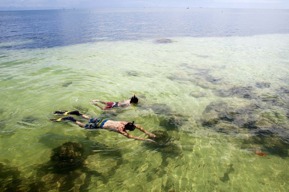 From Miami: Key West Day Tour by Motor Coach Bus - Who Would Love This Tour?