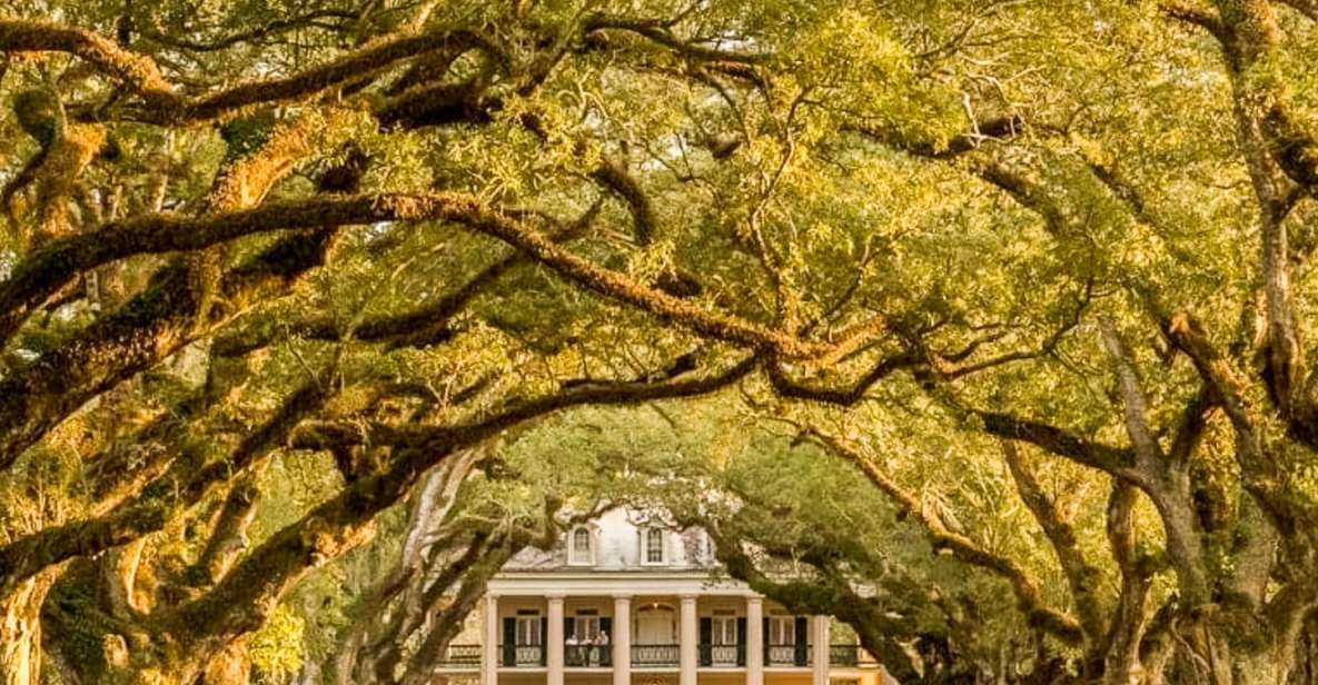 From New Orleans: Oak Alley Plantation Tour - Final Thoughts