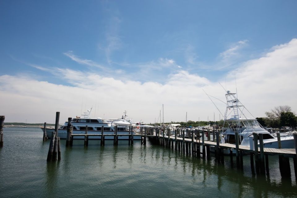 From NYC: Hamptons, Sag Harbor, and Outlet Shopping Day Trip - Transportation & Group Size