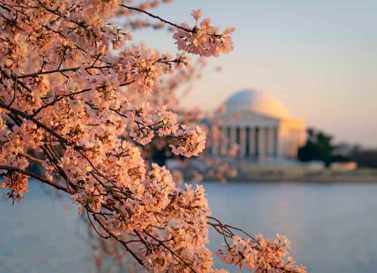 From NYC: Niagara Falls, Washington DC and Boston 4-Day Trip - Key Points