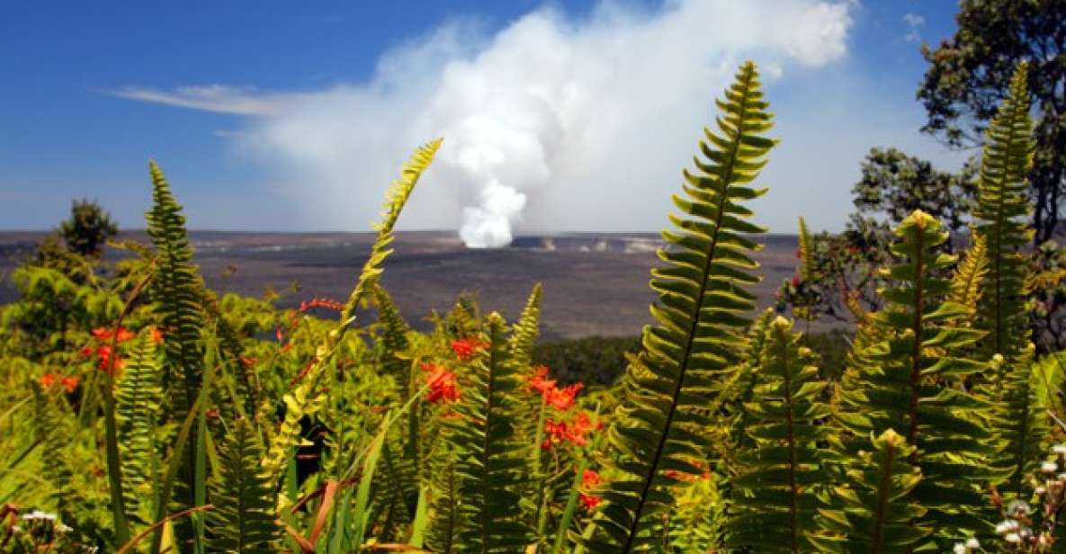From Oahu: Big Island Volcano Adventure - Your Full-Day Journey: From Oahu to the Big Island
