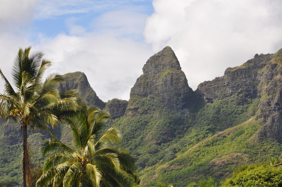 From Oahu: Kauai Highlights & Movie Sites - Journey Through Natural Wonders and Cultural Landmarks