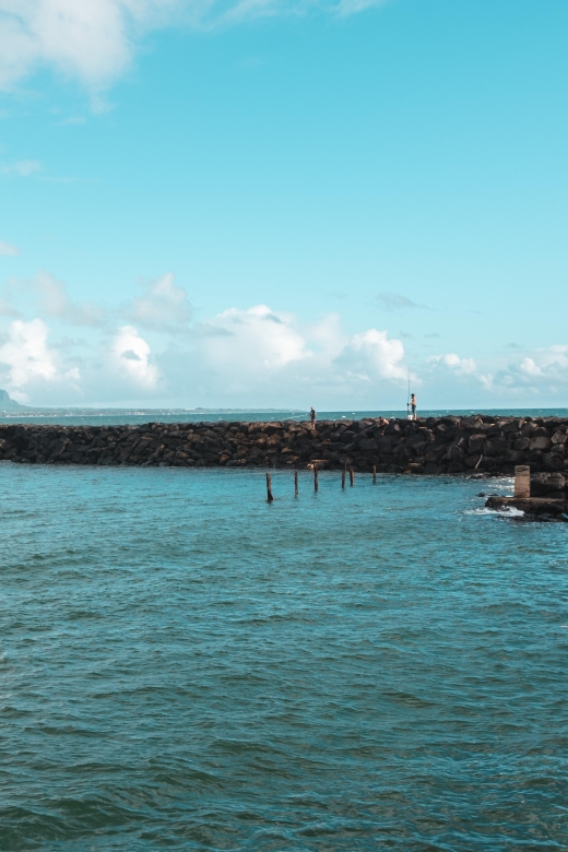 From Oahu: Kauai Highlights & Movie Sites - Why This Tour Offers Great Value