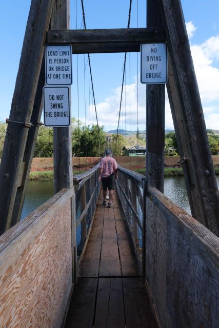From Oahu: Kauai Waimea Canyon and Koke'e State Park Tour - Final Thoughts