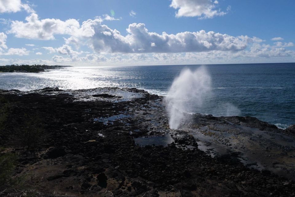 From Oahu: Kauai Waimea Canyon & Wailua River Tour - Seamless Interisland Travel and Small Group Comfort