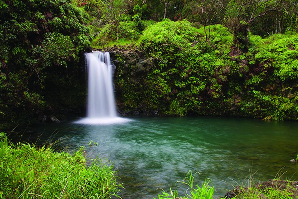 From Oahu: Maui Road to Hana Sightseeing Tour - What Makes This Tour Stand Out?