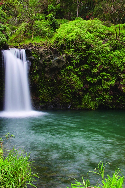From Oahu: Maui Road to Hana Sightseeing Tour - The Sum Up: Is This Tour Worth It?
