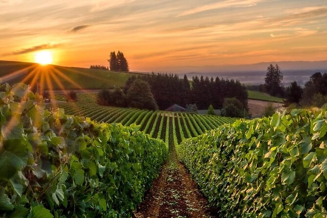 From Portland Private Willamette Valley Wine Tour - Key Points