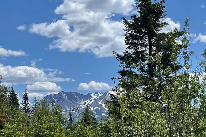 From Portland to Mt. Saint Helen Tour in a small group - Reliability and Practical Considerations