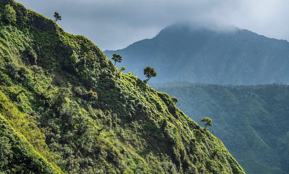 From Princeville: Discover Kauai Helicopter Tour - Who Will Love This Tour?