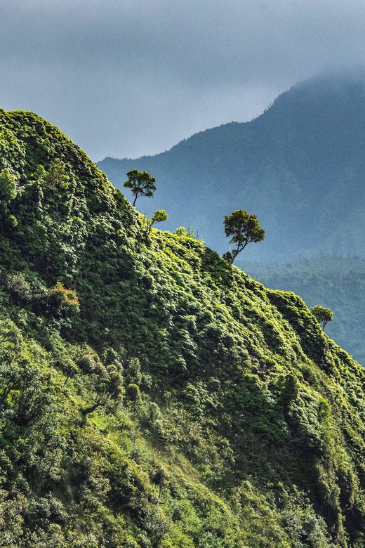 From Princeville: Discover Kauai Helicopter Tour - Final Thoughts