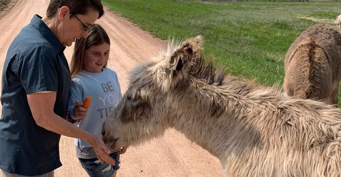 From Rapid City: Custer State Park Private Safari and Hiking - Key Points