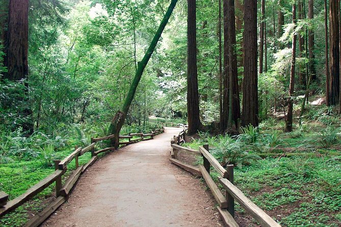 From San Francisco: Guided Tour to Muir Woods Coastal Redwoods - FAQ