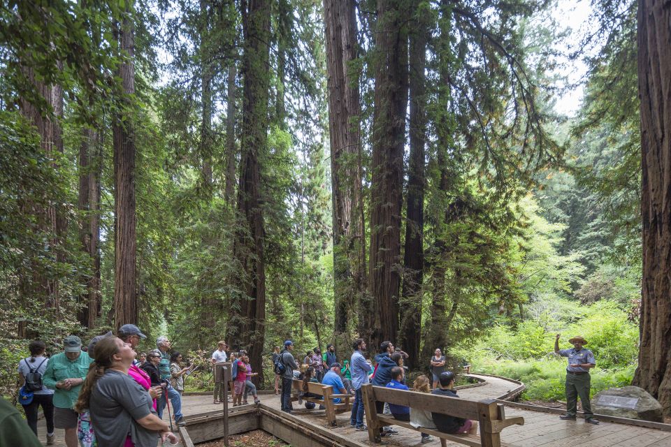 From San Francisco: Muir Woods, Sausalito and Alcatraz Tour - The Value of the Tour