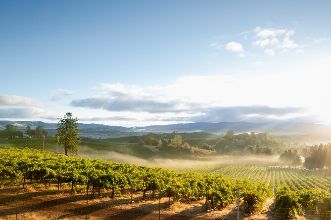 From San Francisco: Napa & Sonoma Valley Wine Tour with Tastings - The Experience Breakdown